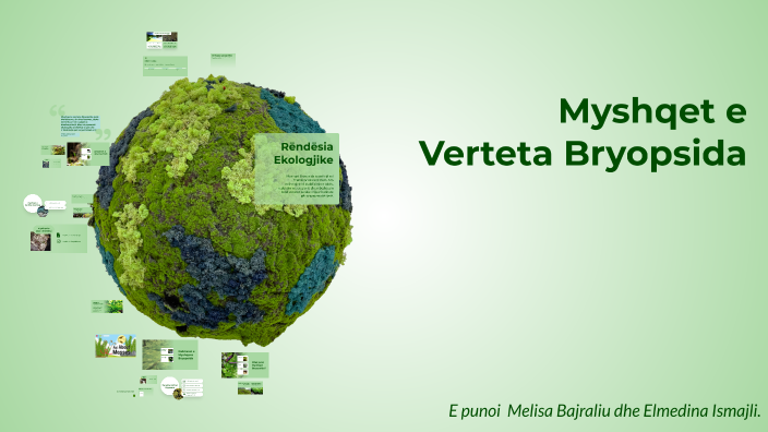 Myshqet e Verteta Bryopsida by Melisa Bajraliu on Prezi