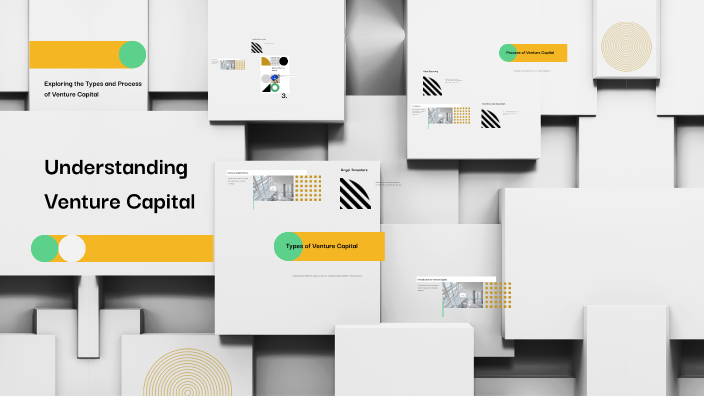 explain the types of venture capital and nature , process of venture ...