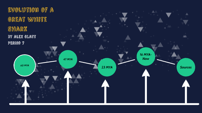 Evolution of a Shark by Alexandria Glatt on Prezi