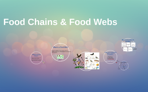Wetland Food Chains & Food Webs by Navi Sidhu on Prezi