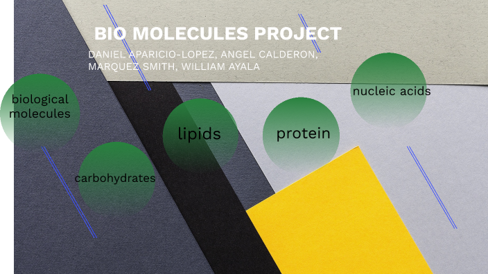 Biomolecules Project by Daniel Aparicio-Lopez on Prezi