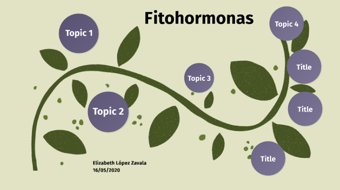 Qué son las fitohormonas by Elizabeth López Zavala on Prezi