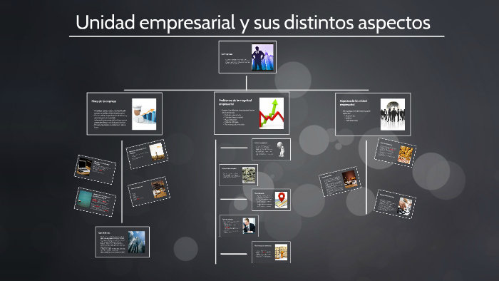 La Unidad empresarial y sus distintos aspectos by Francisco Lopez on Prezi
