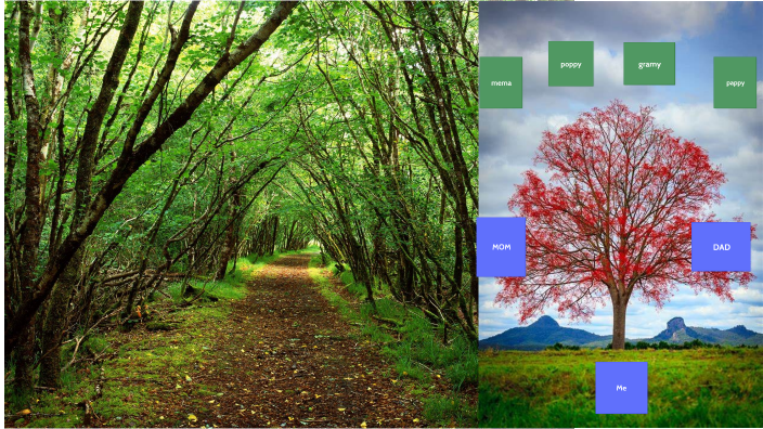 family tree by Ivan Bisbey on Prezi