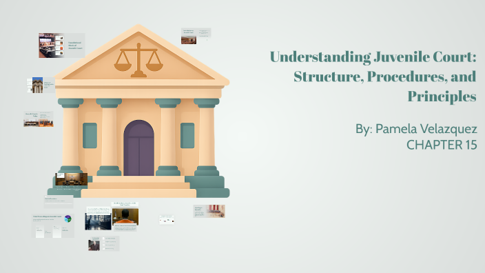 Understanding Juvenile Court: Structure, Procedures, and Principles by ...