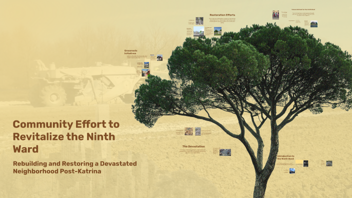 Revitalizing the Ninth Ward: A Community Effort by amal mansour on Prezi