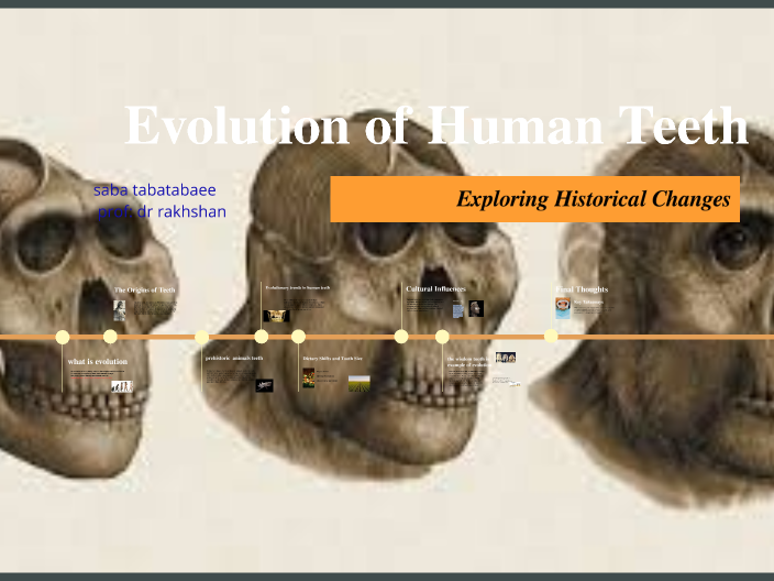 Evolution of Human Teeth by saba alavi on Prezi