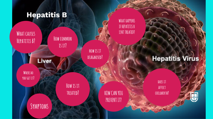 hepatitis b project by Brenda VanWinkle on Prezi