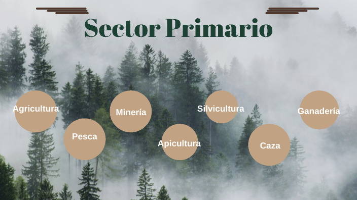 sector primario by Abdallah Gómez on Prezi