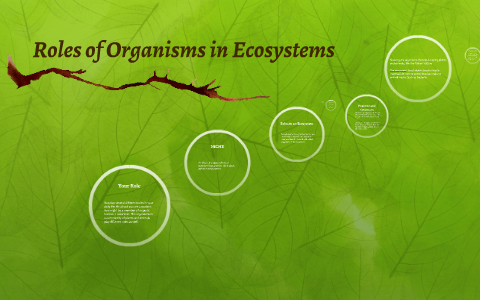 Roles of Organisms in Ecosystems by Dominique Elstak