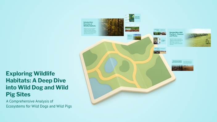 Exploring Wildlife Habitats: A Deep Dive into Wild Dog and Wild Pig ...