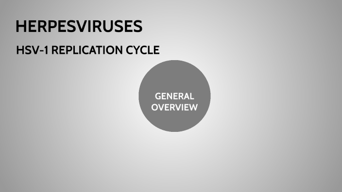 HSV-1 Replication Cycle by Grammarly Account on Prezi