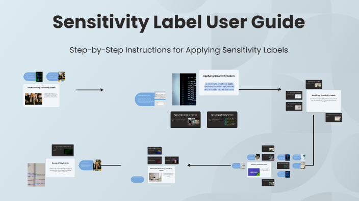 Sensitivity Label User Guide by Kevin Jung on Prezi
