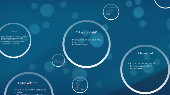 Cells and What They Are by David Kirkendall on Prezi
