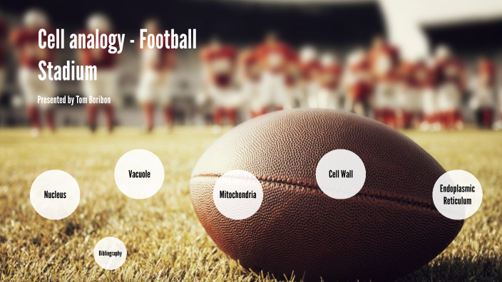 Cell analogy - Football Stadium by Tomas Boribon on Prezi