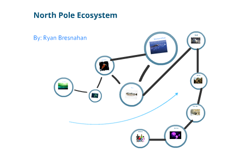 North Pole Ecosystem by Ryan Bresnahan on Prezi