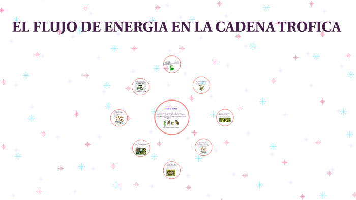 EL FLUJO DE ENERGIA EN LA CADENA TROFICA by Valeria Briones Farias on Prezi
