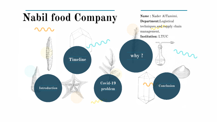 Nabil food Company & their productivity & maturity in logistics ...