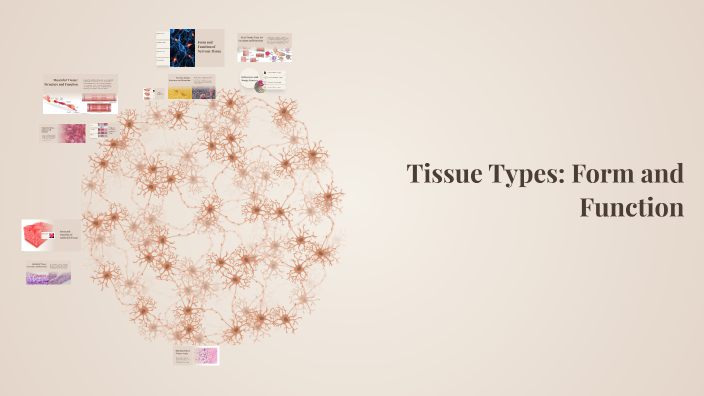Exploring Tissue Types: Form and Function by Addison Keiswetter ...