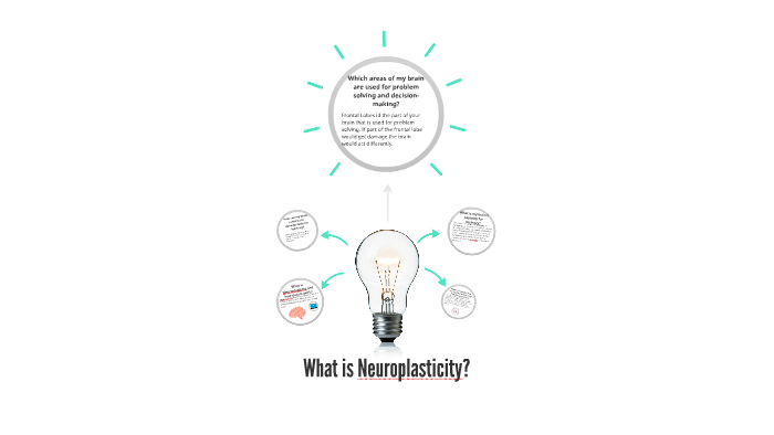 What is neuroplasticity and how does it work? by Nate Maxwell on Prezi