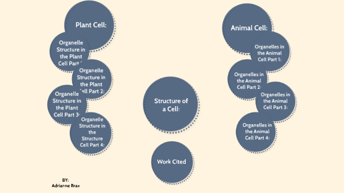 Structure of a Cell Project by Adrianne Braz on Prezi