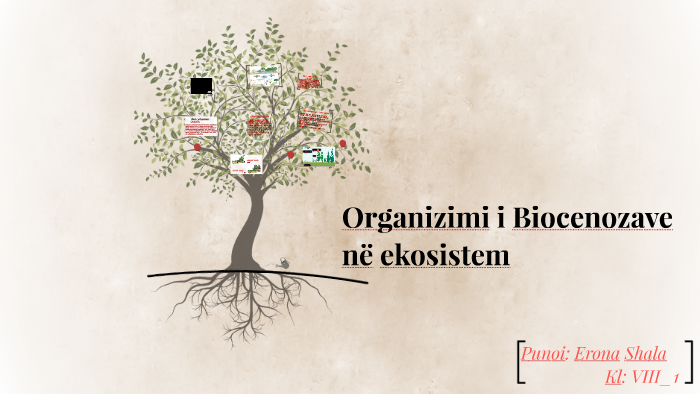 Organizmi i Biocenozave në ekosistem by Erona Shala☻ on Prezi