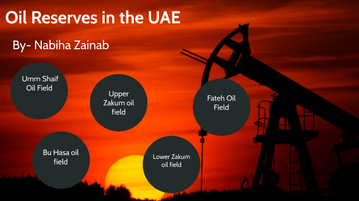 SOCIAL SCIENCE & UAE SST ( Interdisciplinary Project ) by Nabiha Zainab ...