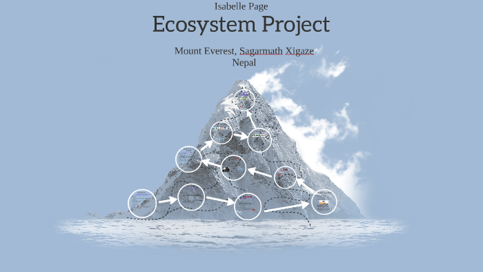 Ecosystem Project by Izzy Page on Prezi