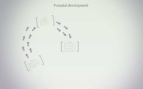 Prenatal devlopment by Kady Todd on Prezi