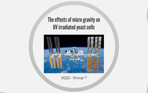 Effects of the growth of UV irradiated yeast by Mhairi Rundell on Prezi