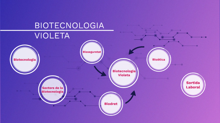 biotecnologia violeta by Gerard Martorell on Prezi