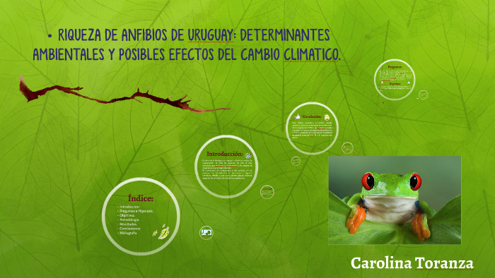 RIQUEZA DE ANFIBIOS DE URUGUAY: DETERMINANTES by Sayda Torres on Prezi