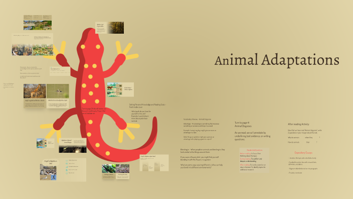 Animal Adaptations: Survival Strategies in Nature by Ashley Perez on Prezi