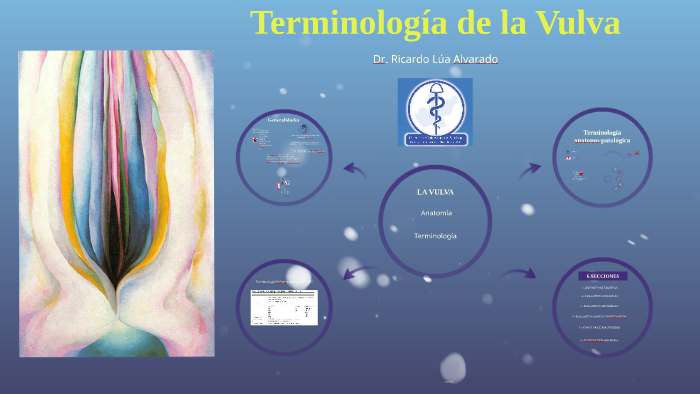 Terminología de la Vulva by ricardo lua on Prezi