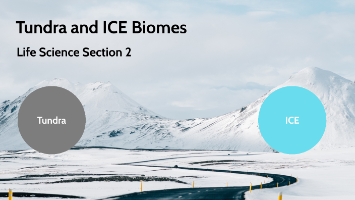 LS2- Tundra and ICE Biomes by Simone Yin on Prezi