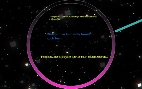 Carbon Cycle by marlena struble on Prezi