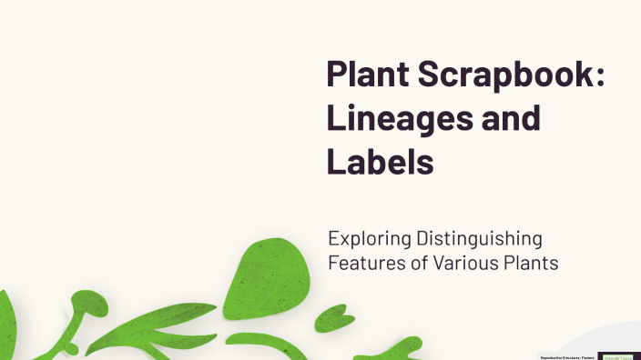 Plant Scrapbook: Lineages and Labels by Isabella G on Prezi