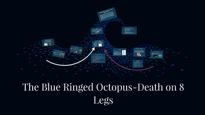 The Blue Ringed Octopus-Death on 8 Legs by Ryan Walker on Prezi