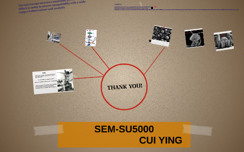 SEM-SU5000 by ying cui on Prezi