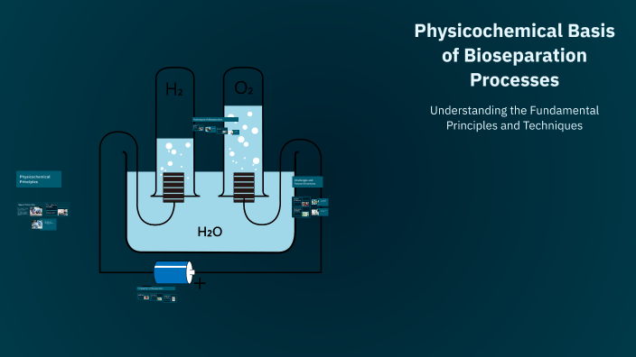 Physicochemical Basis of Bioseparation Processes by Krushnagar Jagtap ...
