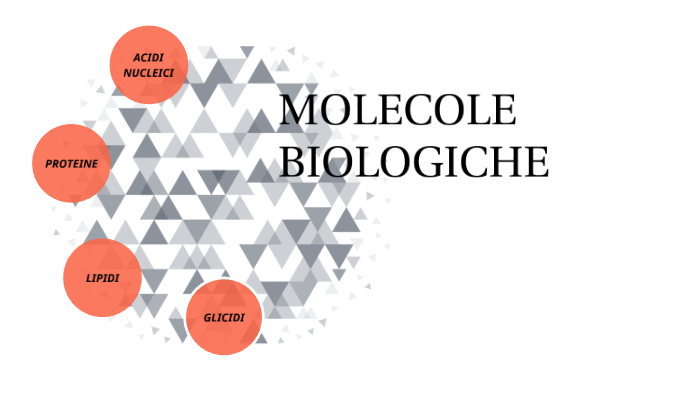 biomolecole by graziana filomeno on Prezi