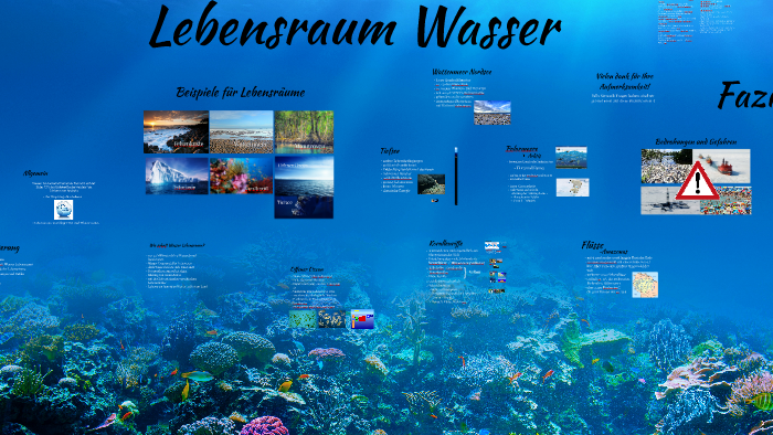 Lebensraum Wasser By Tom Ast On Prezi