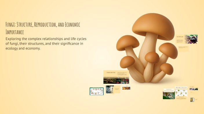 Fungi: Structure, Reproduction, and Economic Importance by Kulsoom ...