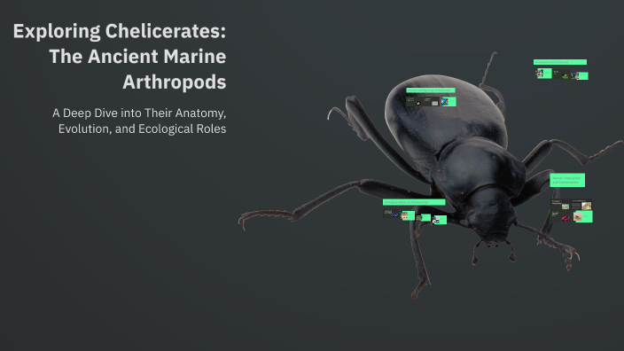 Exploring Chelicerates: The Ancient Marine Arthropods by sirina sirin ...