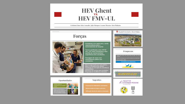 HEV Ghent vs HEV fmv by Sara Pinheiro on Prezi