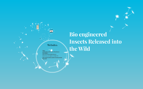 Bioengineered Insects Releasing into the Wild by Jennifer Campbell on Prezi