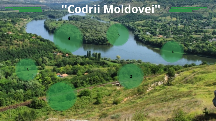 Codrii Moldovei by Cazacu MARIA on Prezi