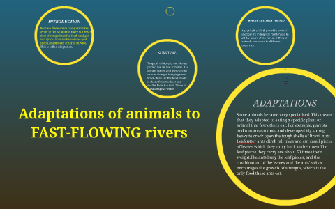 Adaptations of animals to a fast-flowing river by mohammed ali on Prezi