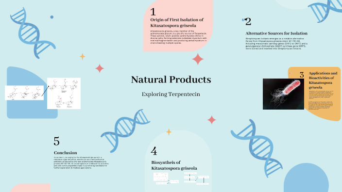 Exploring Terpentecin by Raúl Urquiola on Prezi