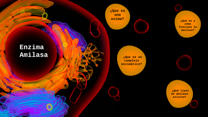 presentacion de amilasa by diego cruz on Prezi
